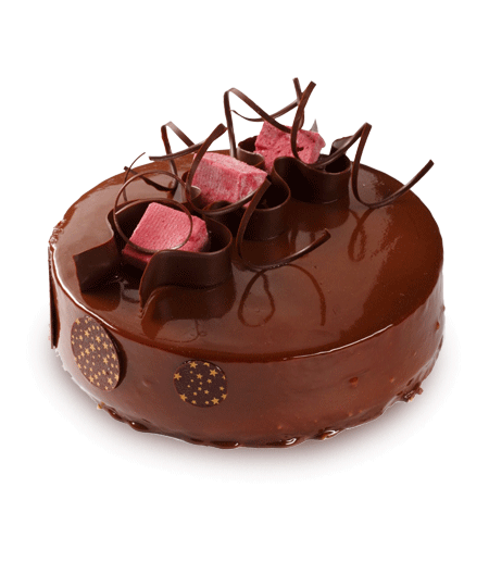 Delicia | Cakes N Bakes